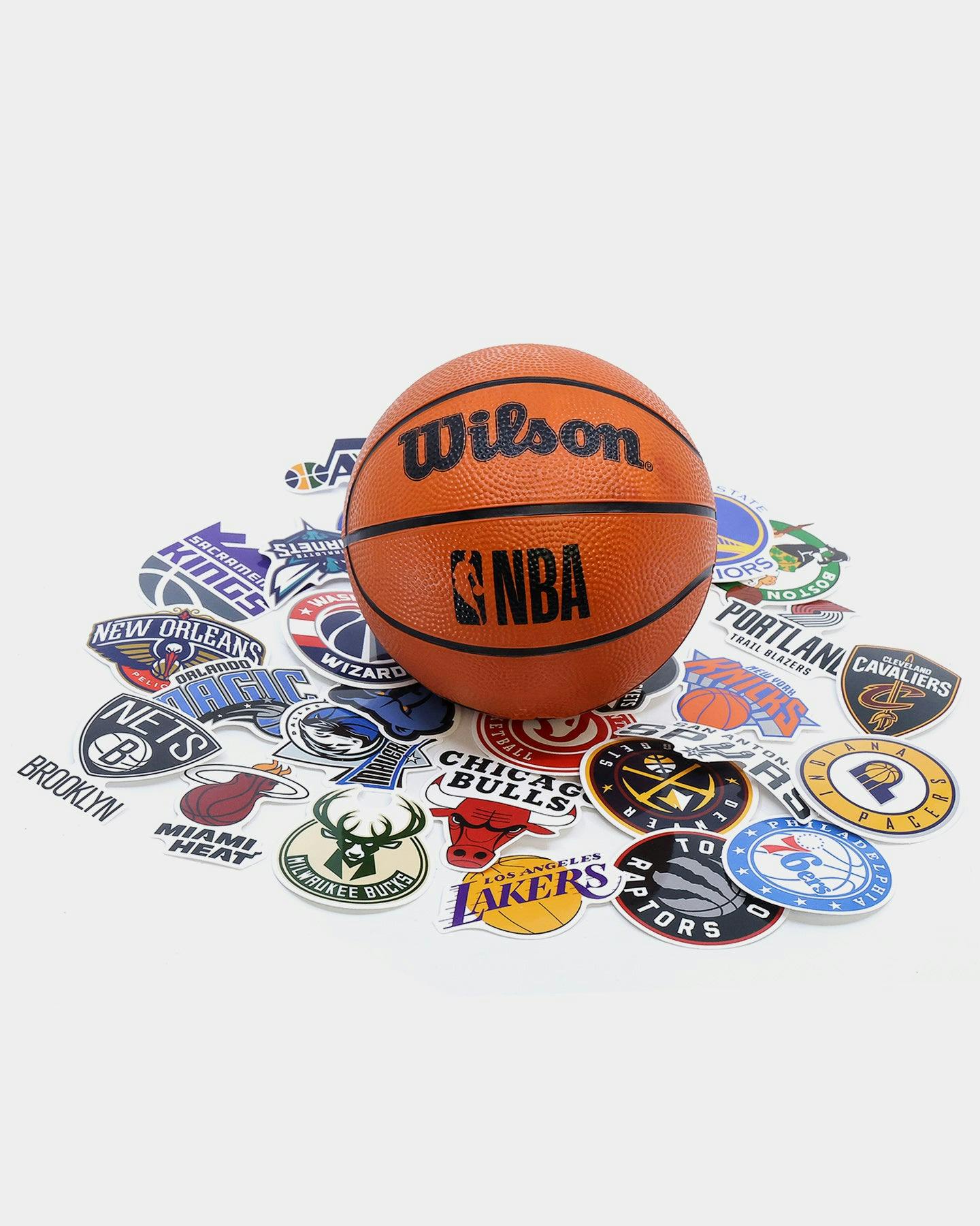 Wilson NBA Forge Acrylic Mini Hoop: Black Colour +30 NBA Team Stickers ...