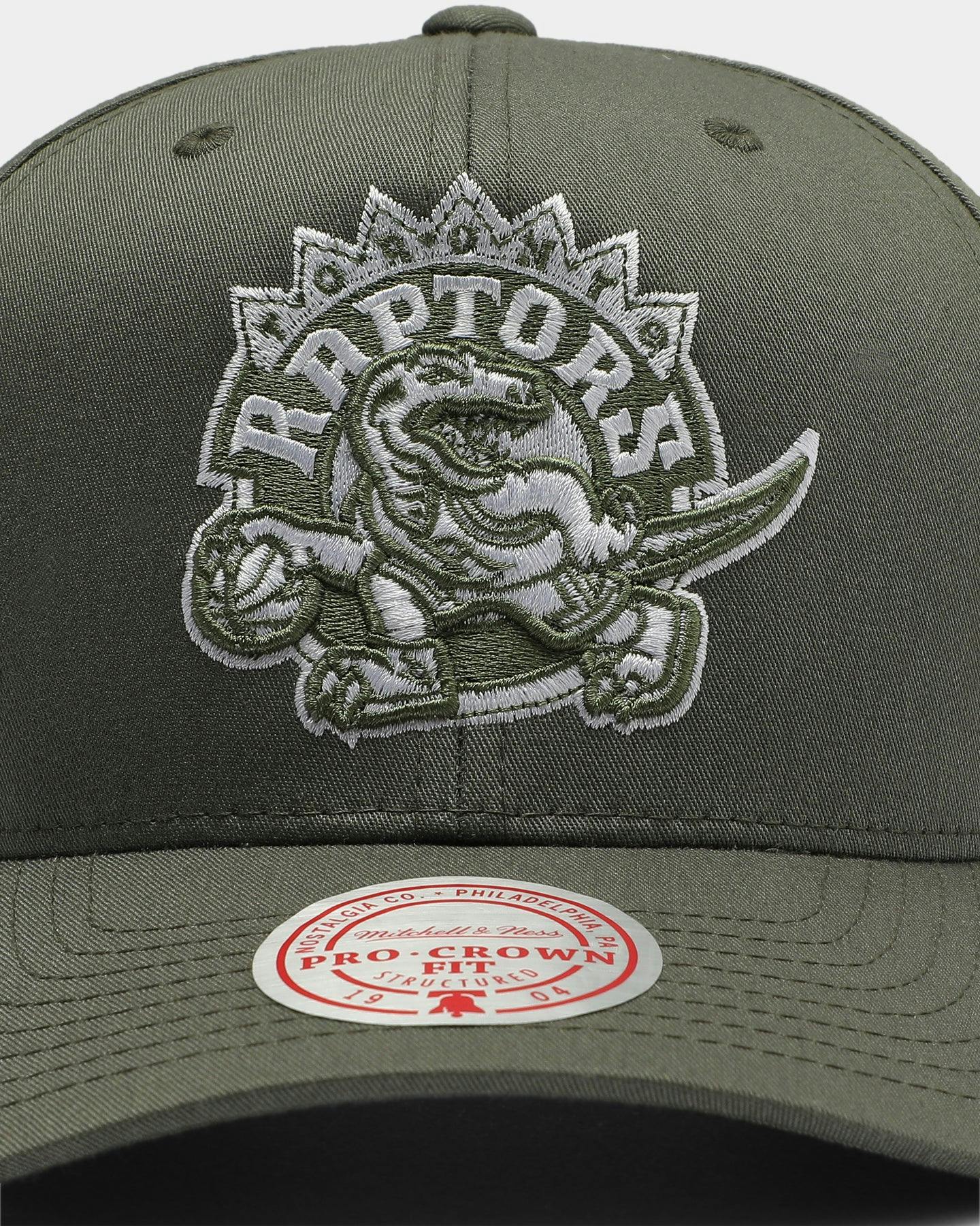 Mitchell & Ness Toronto Raptors Cotton Pro Crown Snapback Green ...